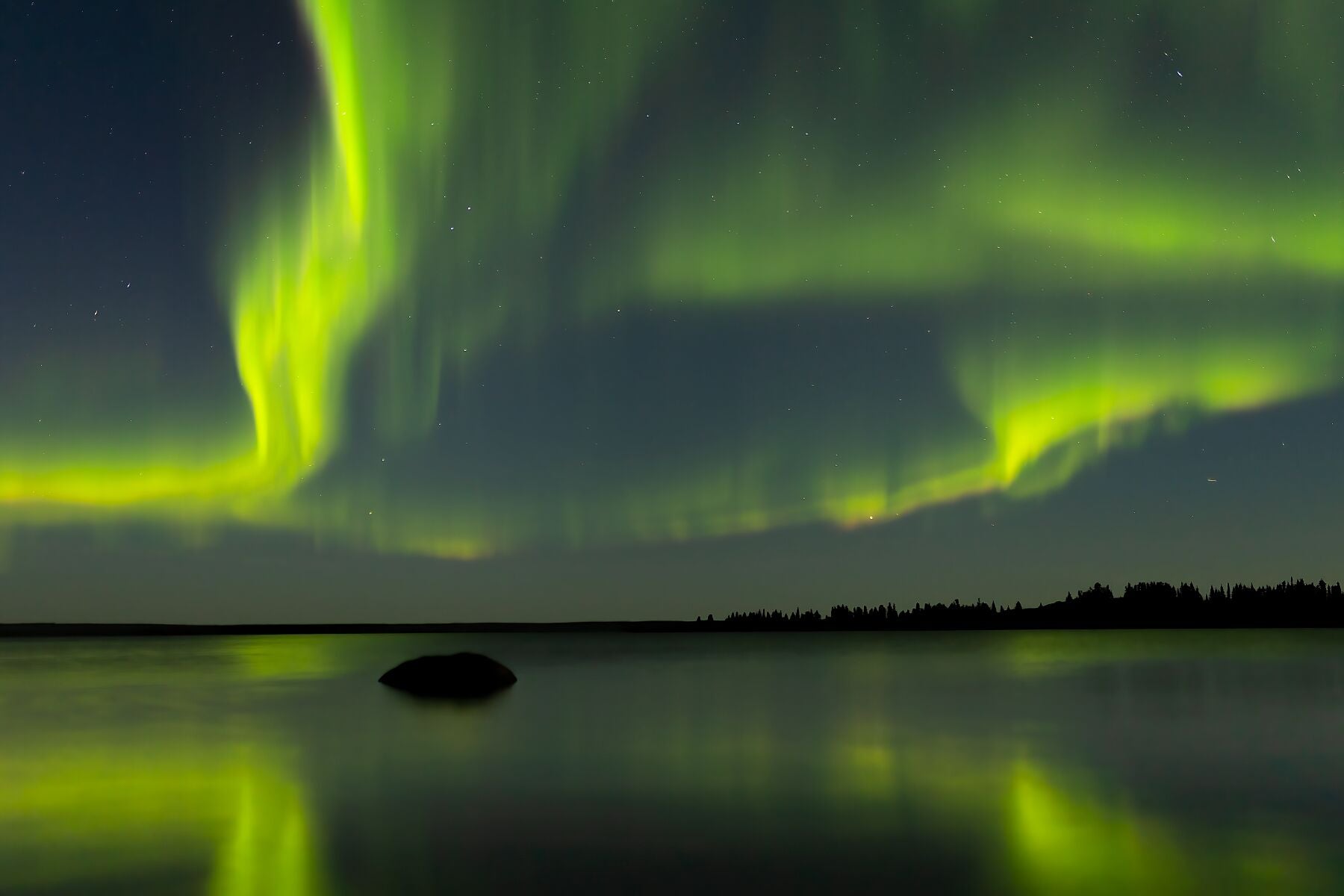 Arctic Alchemy – Marine Conservation Photography