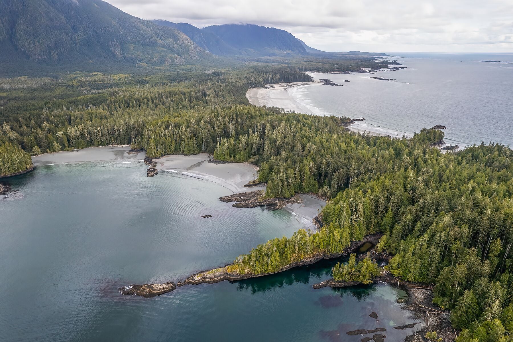 Rugged Point – Marine Conservation Photography